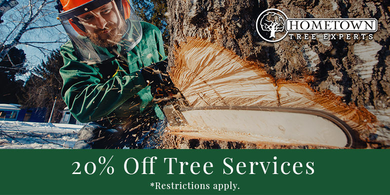 Promotions | Hometown Tree Experts